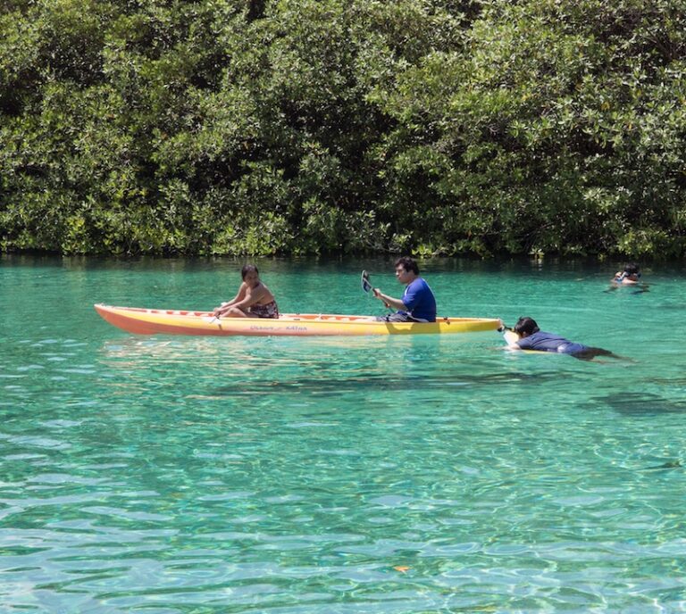 Top Rated Tours on the Nichupte Lagoon For Your Next Trip to Cancun - Cancun Sun