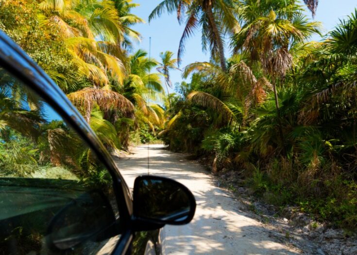 5 Top Hiking Trails To Wander In Tulum - Cancun Sun