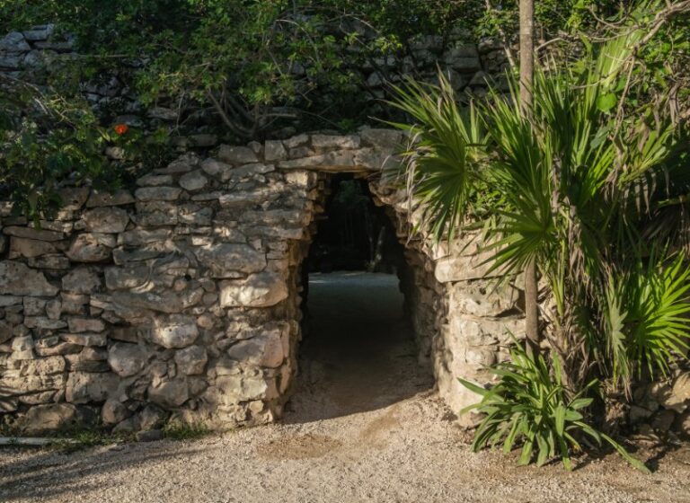 5 Top Hiking Trails To Wander In Tulum - Cancun Sun