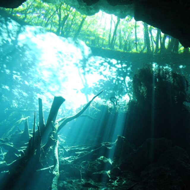 Top 5 Reasons To Visit Chac Mool Beach And Cenote in Cancun - Cancun Sun