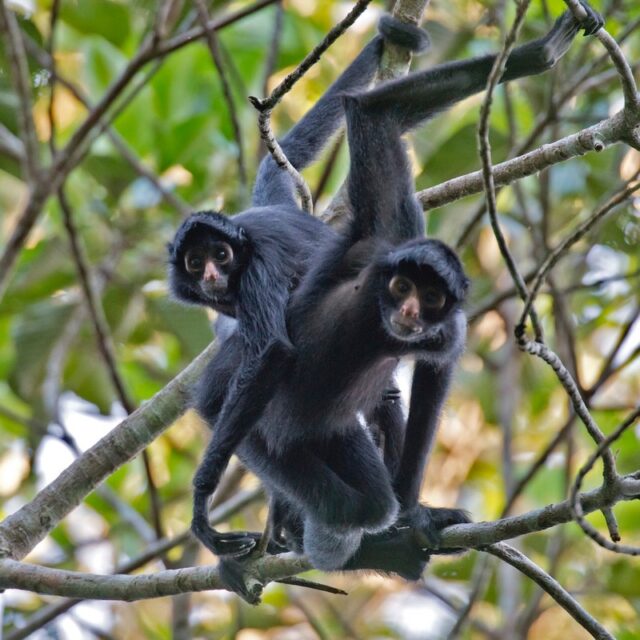 The Ultimate Guide to Kantun-Chi Ecopark in Playa del Carmen - Cancun Sun