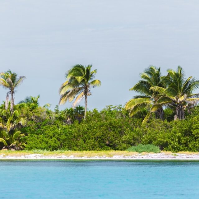 Discover Punta Allen, a Hidden Gem in the Riviera Maya - Cancun Sun
