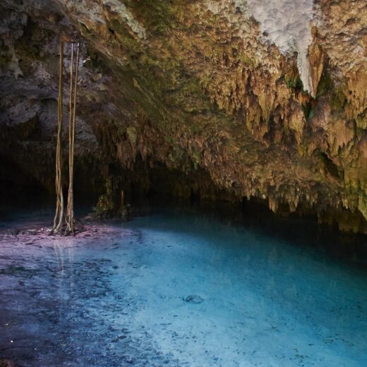 Complete Guide To Exploring The Sac Actun Cenote And Cave System in ...