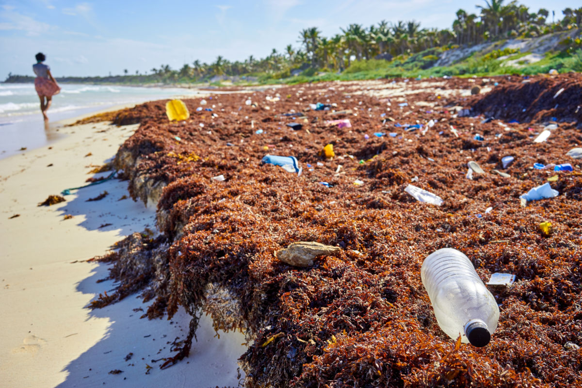 Cancun Tourists Will Enjoy Cleaner Beaches After Massive Cleanup Effort ...