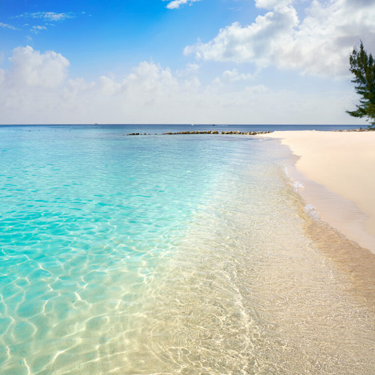 Cozumel vs Playa del Carmen: The Differences Travelers Need To Know - Cancun Sun