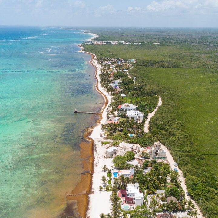 Tulum Seaweed Barriers Yet To Be Installed While 50 Beaches Record ...
