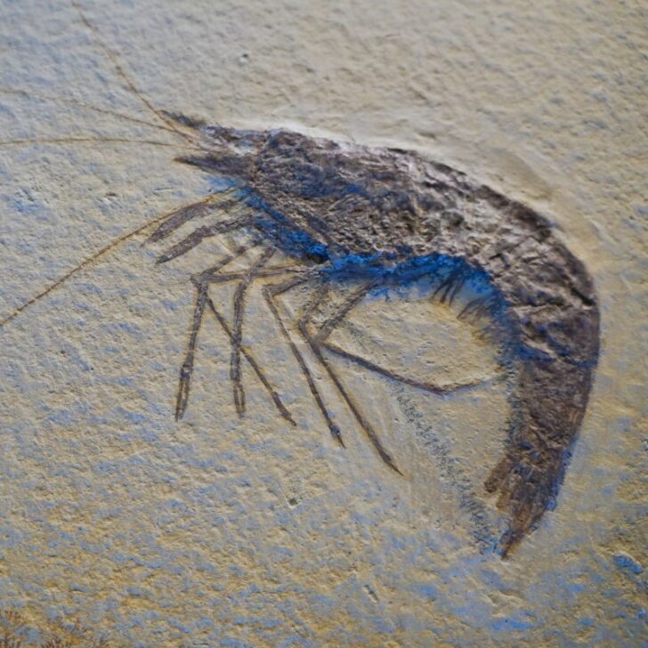 Top 5 Must-See Museums In Cancun - Cancun Sun