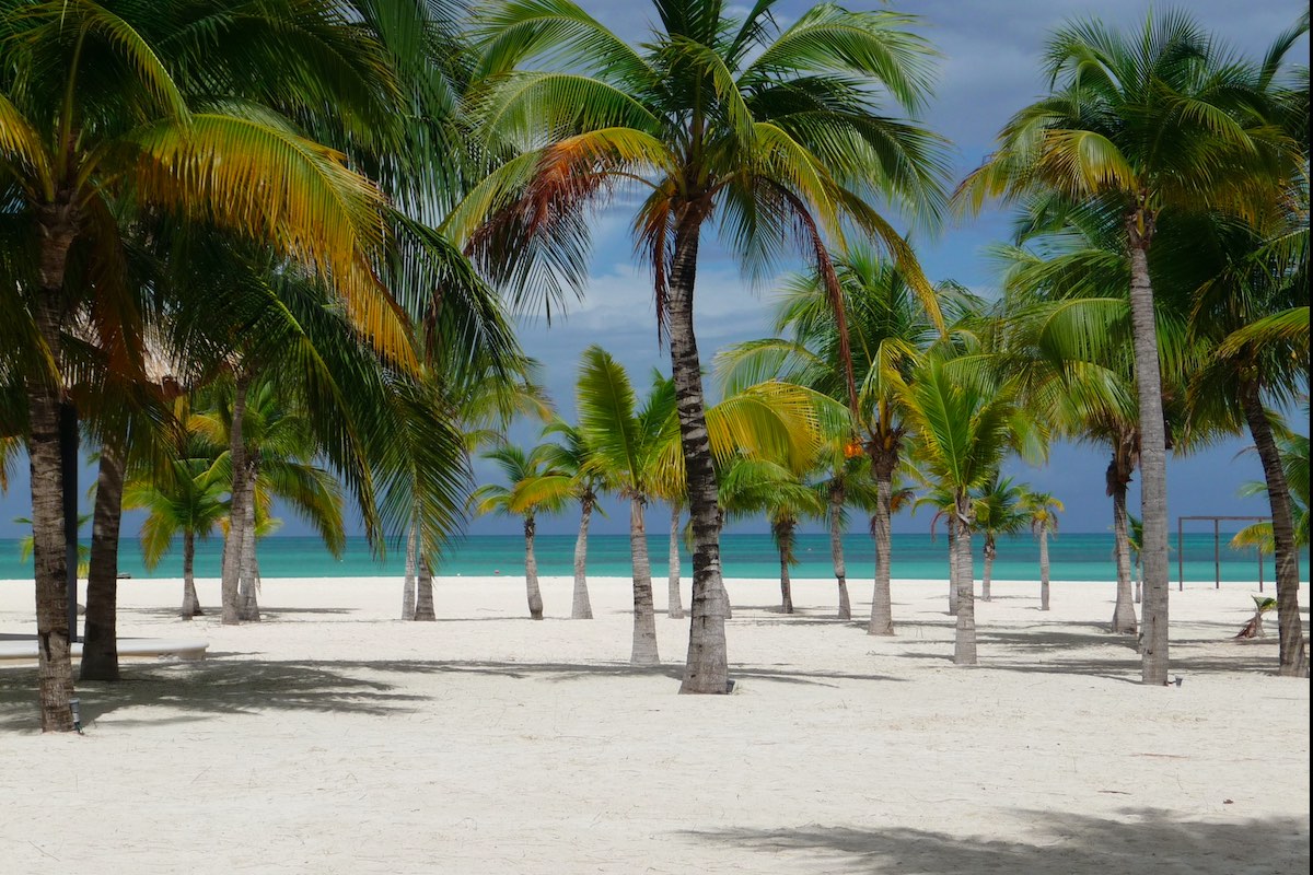 This Island Near Cozumel Was Nominated The Top Romantic Destination In ...