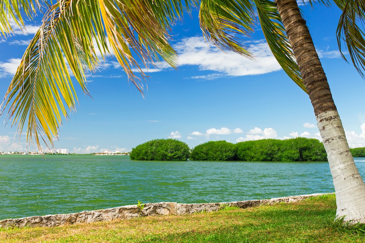 Popular Cancun Lagoon Tour Area Sees Garbage And Litter Amounts Double ...