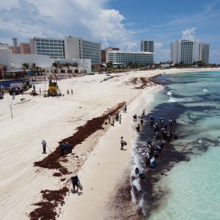 These Are The Best Beaches In Cancun To Escape Sargassum And Crowds ...