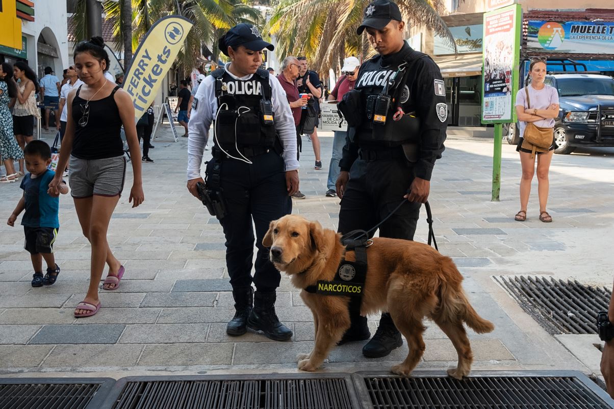 Playa Del Carmen Tourists Can Expect To See K-9 Units As Security Is ...