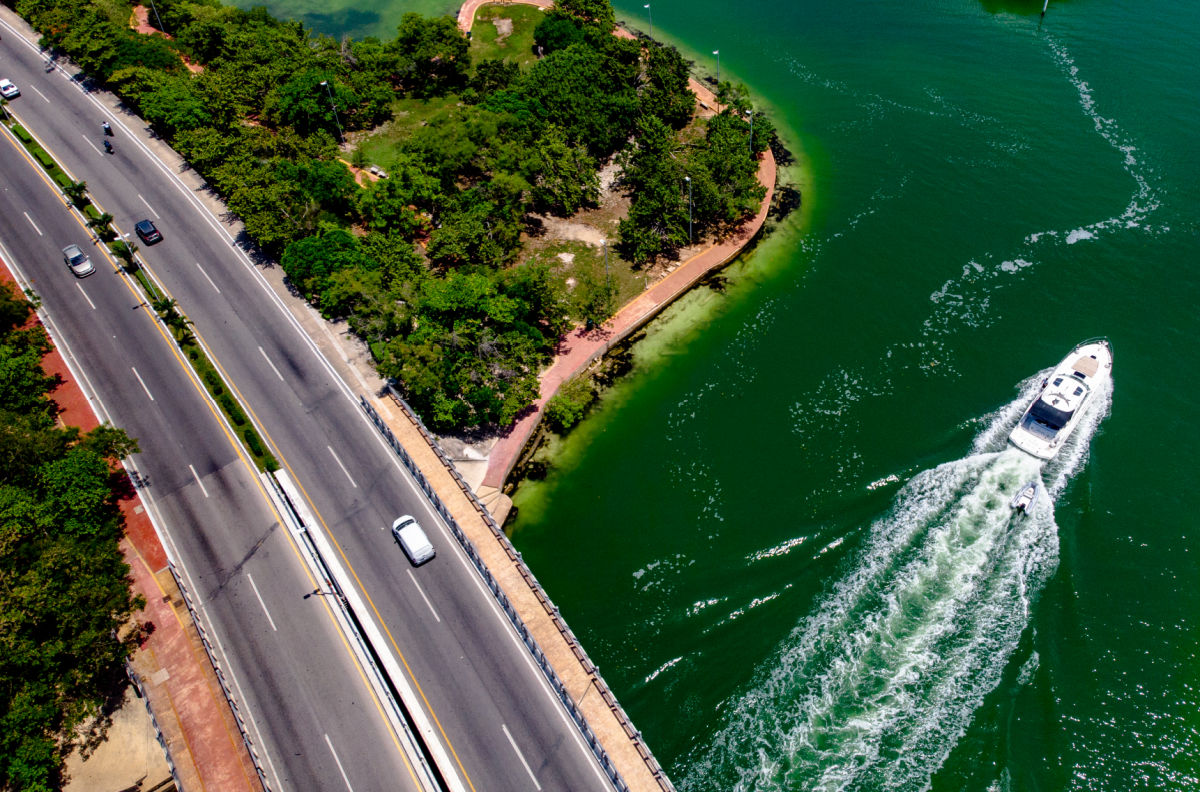 New Bridge Coming To Cancun Will Speed Up Airport Transfers For ...