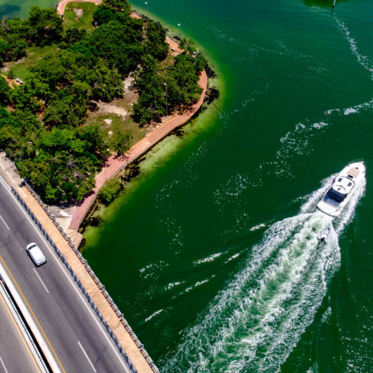 New Bridge Will Make Getting To The Cancun Hotel Zone Easier Than Ever ...