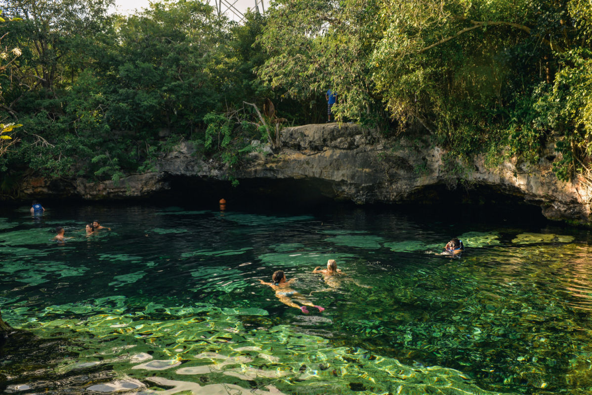 This Popular Cenote Near Well-Known Playa Del Carmen Beach Is Now Open ...