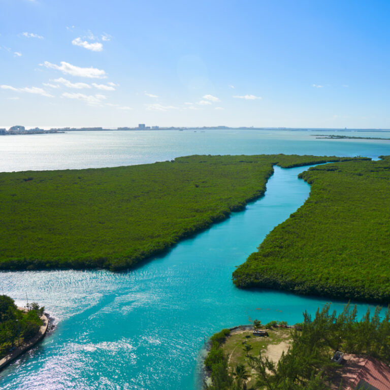 This New Bridge Coming To Cancun Tourists Zone Will Speed Up Airport ...