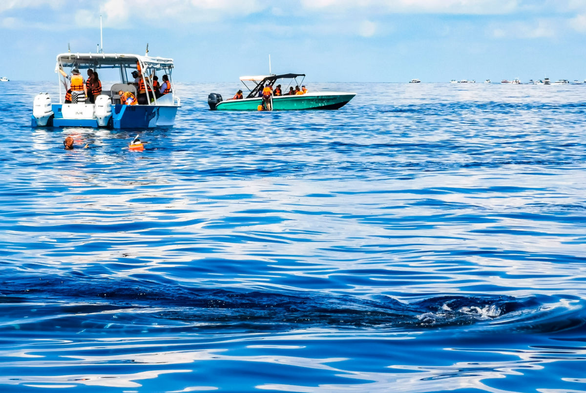 How Cancun Tourists Can Avoid Growing Number Of Fake Boat Tour ...