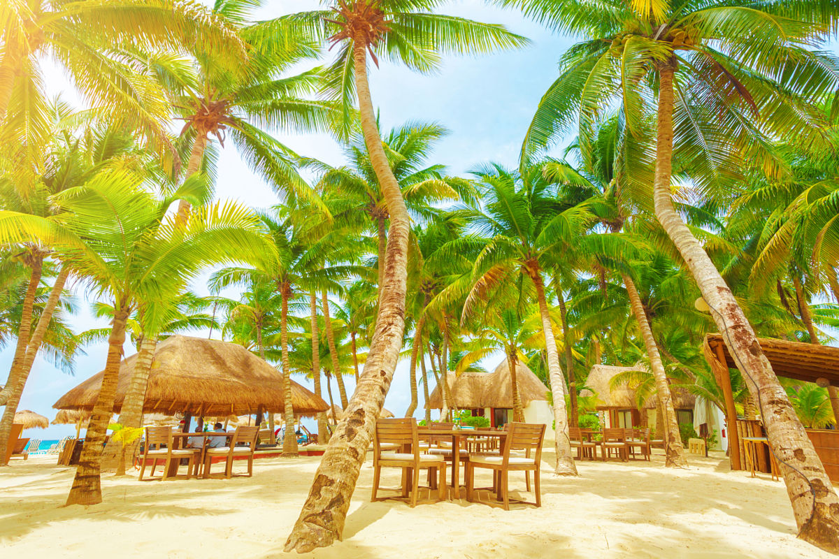 Why Playa Del Carmen Tourists Are Staying In Resorts More Than Ever ...