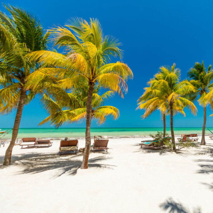 What Travelers Need To Know As Unique Natural Phenomenon Begins In ...