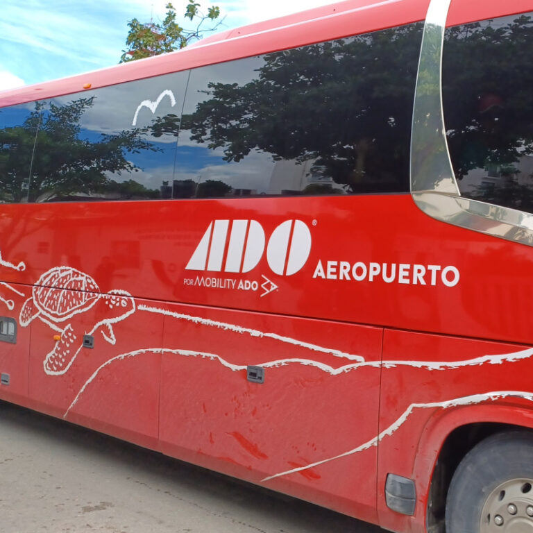 ADO Bus Service Increasing Ahead Of International Flight Launch From ...