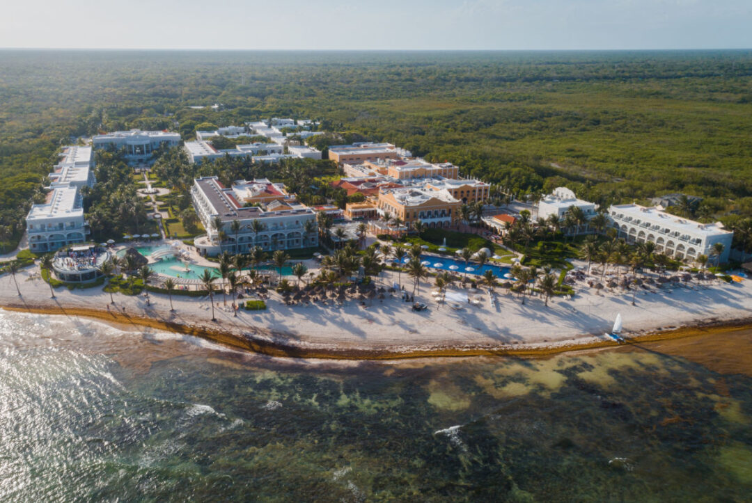 Barriers To Be Installed In Tulum As Sargassum Begins To Arrive ...
