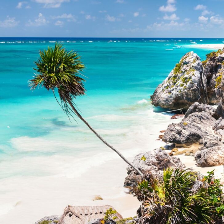 Tulum Maya Train Station Officially Opens: What Travelers Need To Know ...