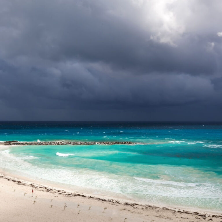 These Popular Cancun Beaches Are Covered In Sargassum After Recent ...