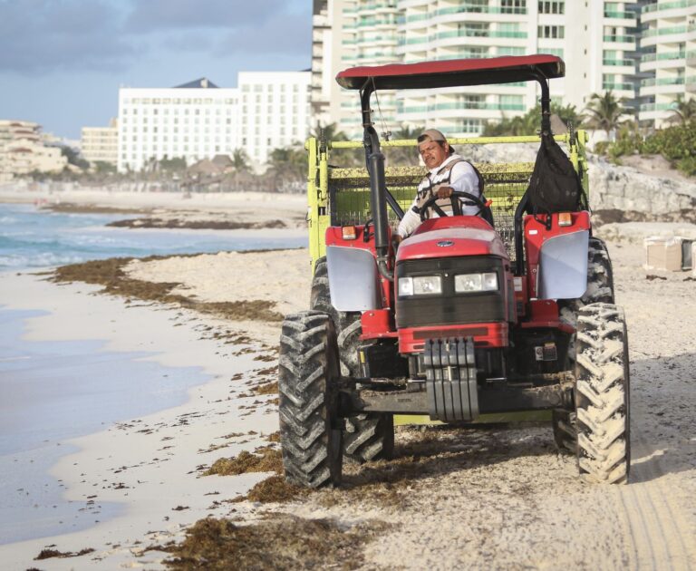 Mexican Caribbean Sargassum Season Alert: Most & Least Affected ... Mexican Caribbean Sargassum Season Alert: Most & Least Affected ...
