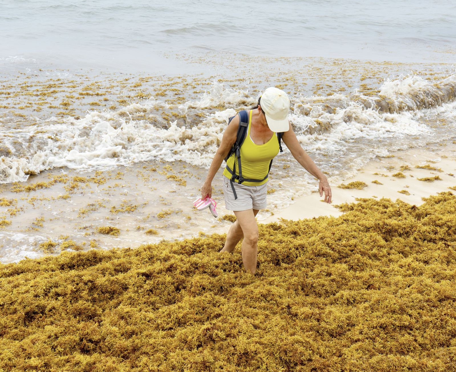 Cancun Mobilizes Massive Cleanup Effort as Sargassum Arrives on Famed ...