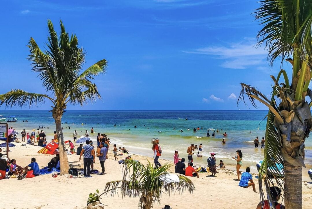 Cancun Authorities Issue Dengue Fever Alerts Following Heavy Rains ...
