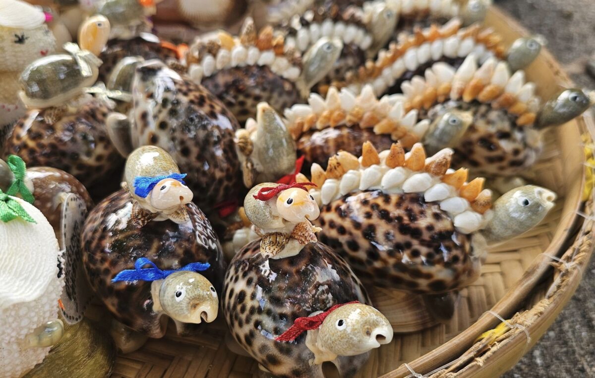 That "Must-Have" Cancun Souvenir Might Be Illegal: How You Can Help ...