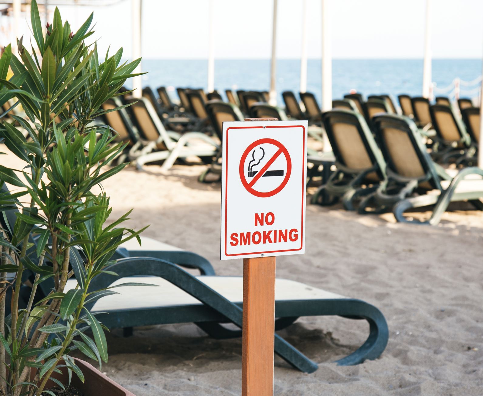 Is Smoking Actually Banned At All Cancun Resorts: Here's The Real Truth ...