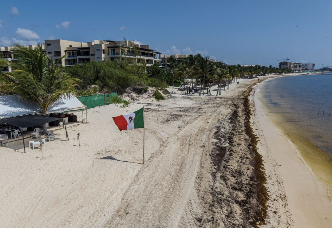 Cancun & Riviera Maya Battle Sargassum As Season Intensifies: What ...